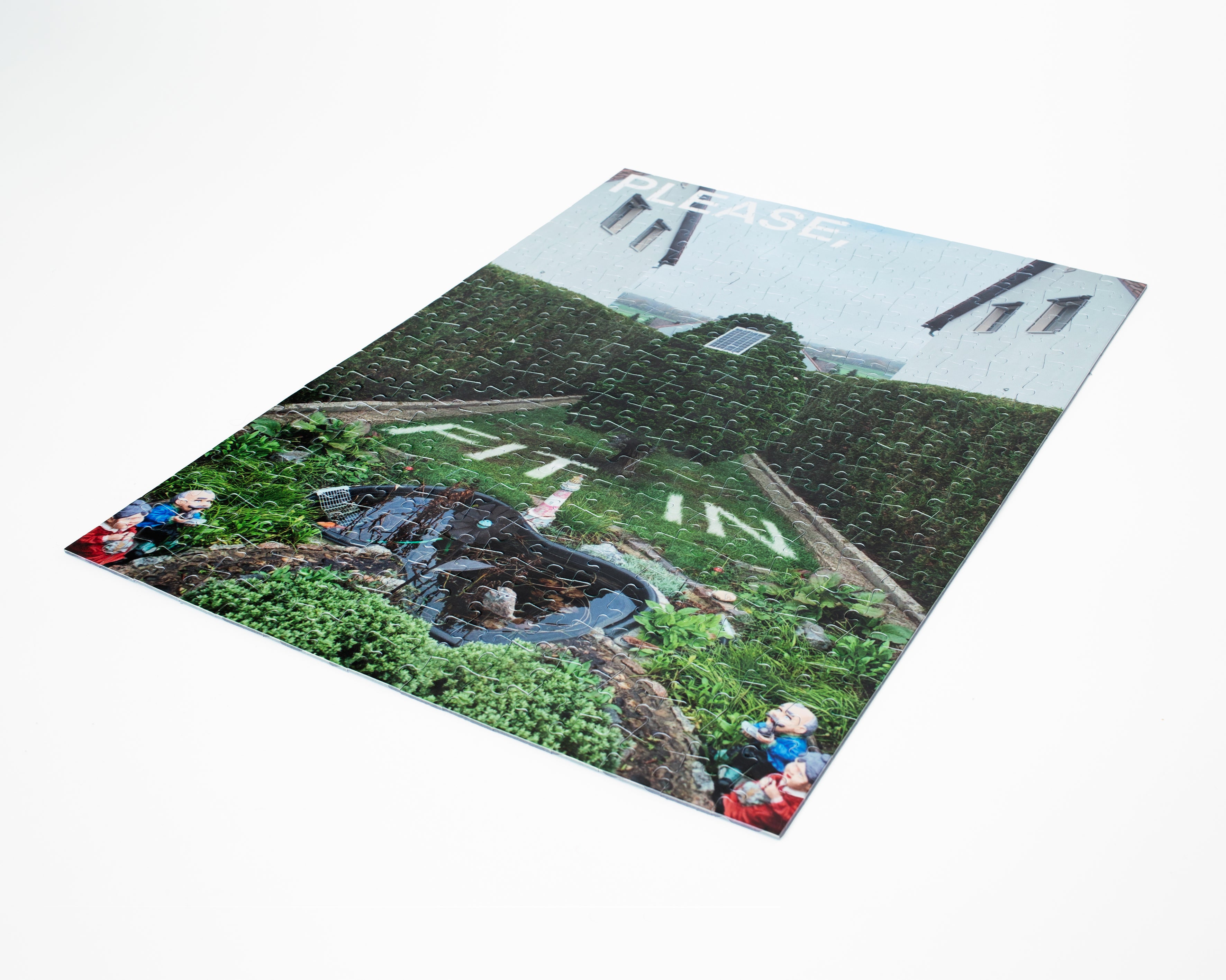 PLEASE, FIT IN – VISORE X